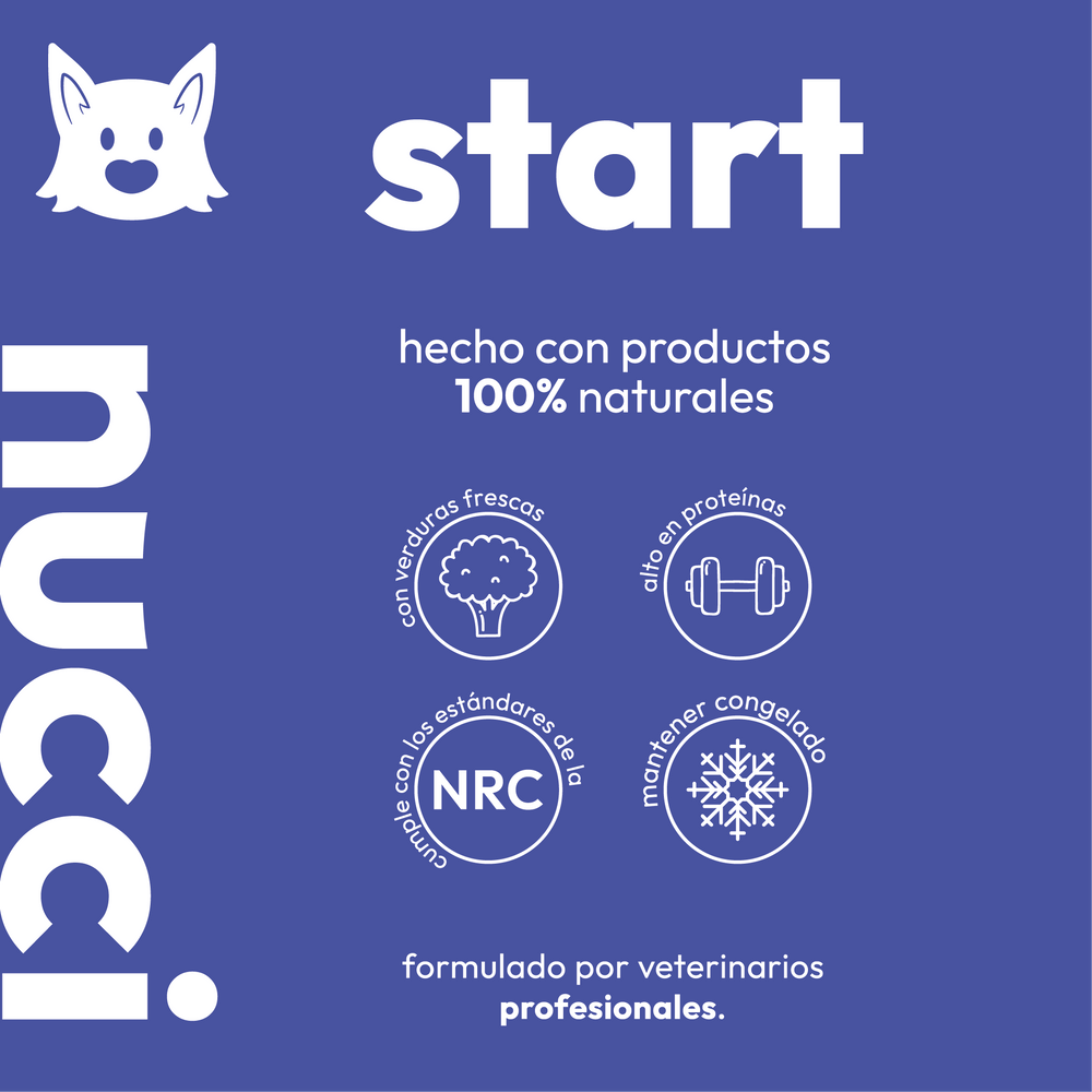 NUCCI